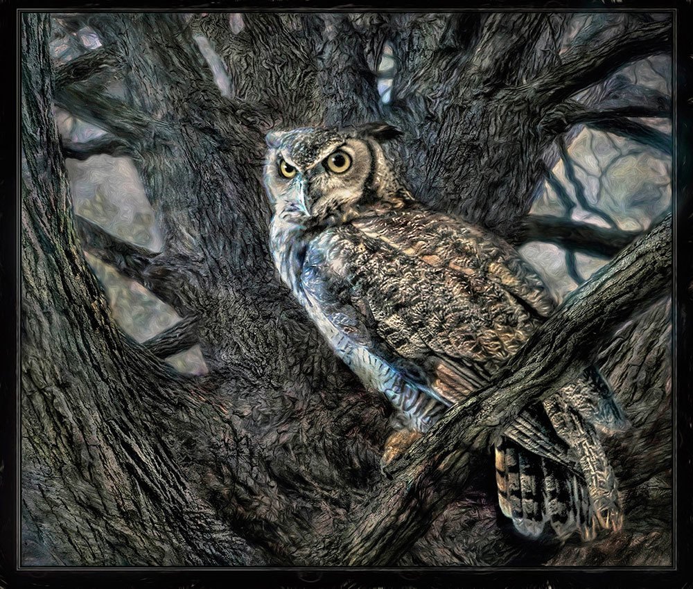 Artistic Impressions Studio | Wildlife