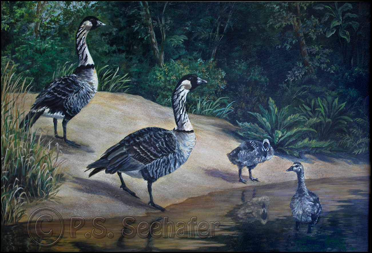 Artistic Impressions Studio | Wildlife